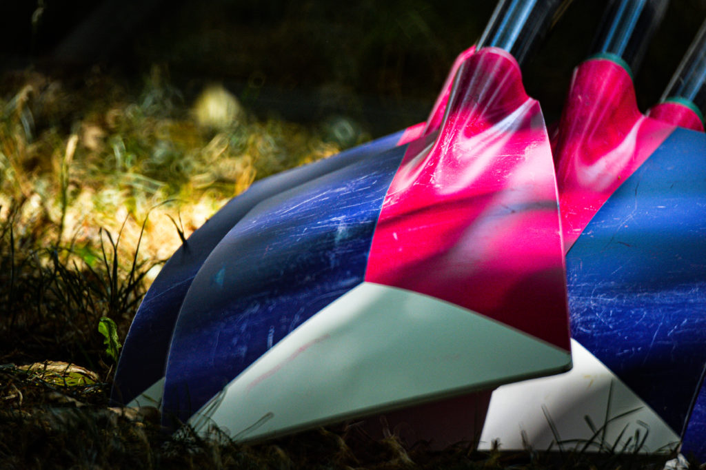 Rowing News | Anatomy of Failure