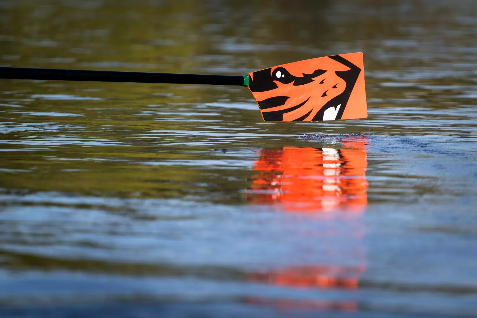 Rowing News | Kate Maxim Resigns as Oregon State Women’s Rowing Head Coach